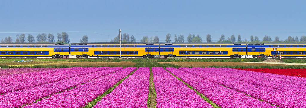 Netherlands By Train from $ 120 | The Netherlands Train Routes | Eurail.com